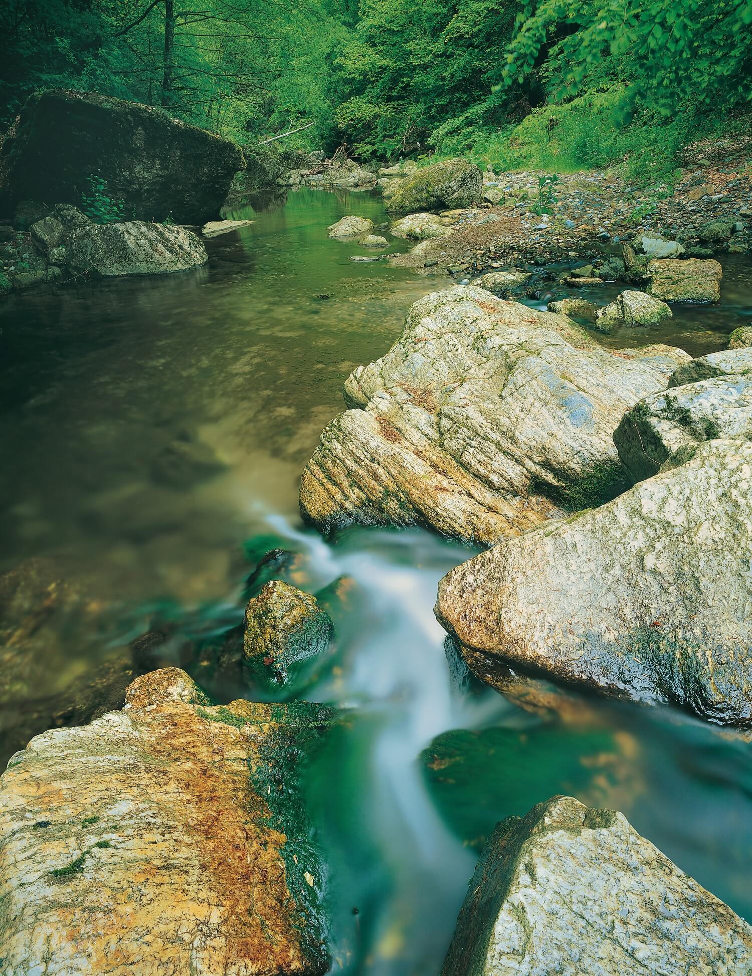 Klamm-heimlich durch die Oststeiermark: die Raabklamm | Blühendes ...