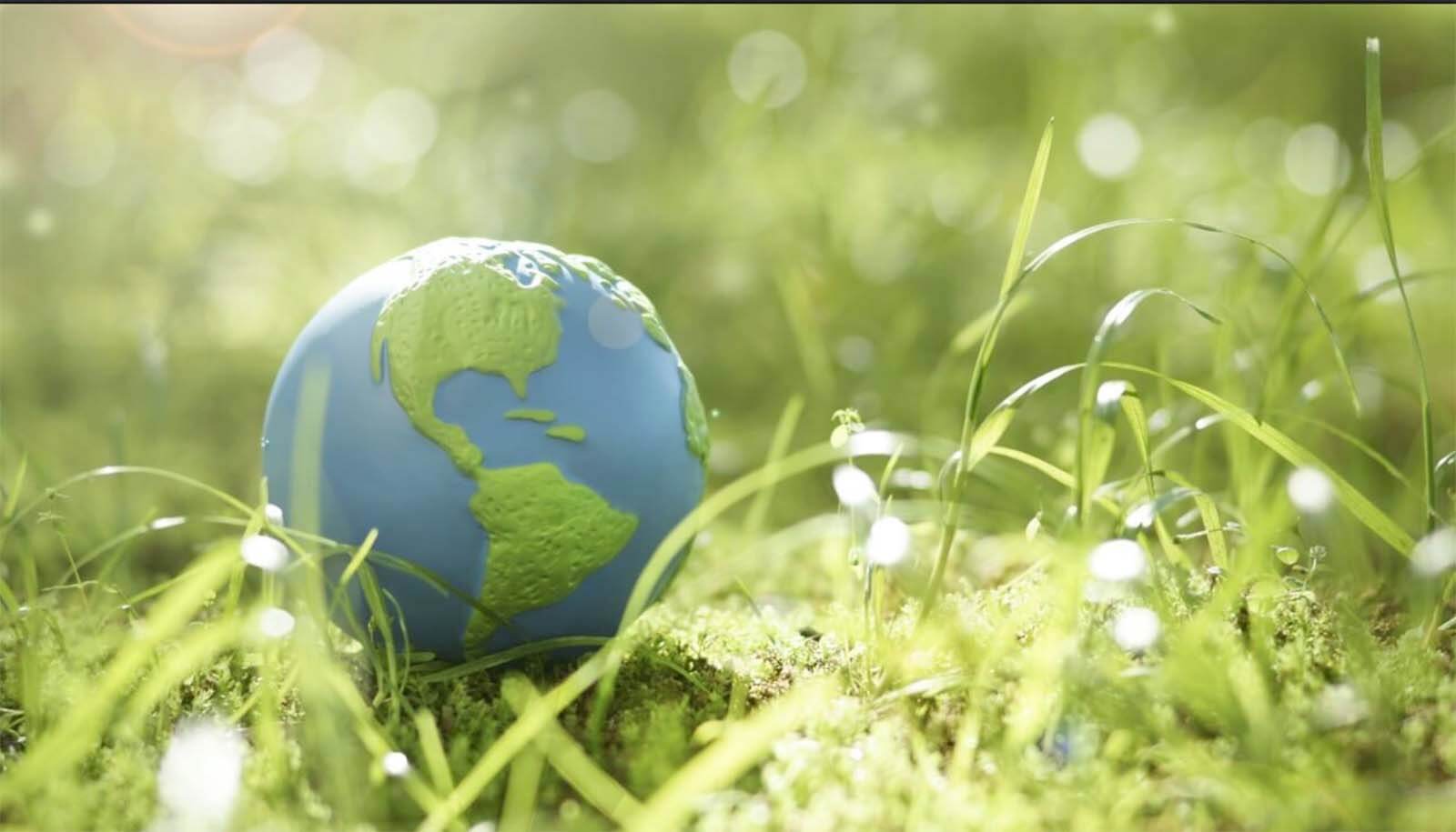 "Der Mensch verursacht das größte globale Aussterben" | Blühendes ...