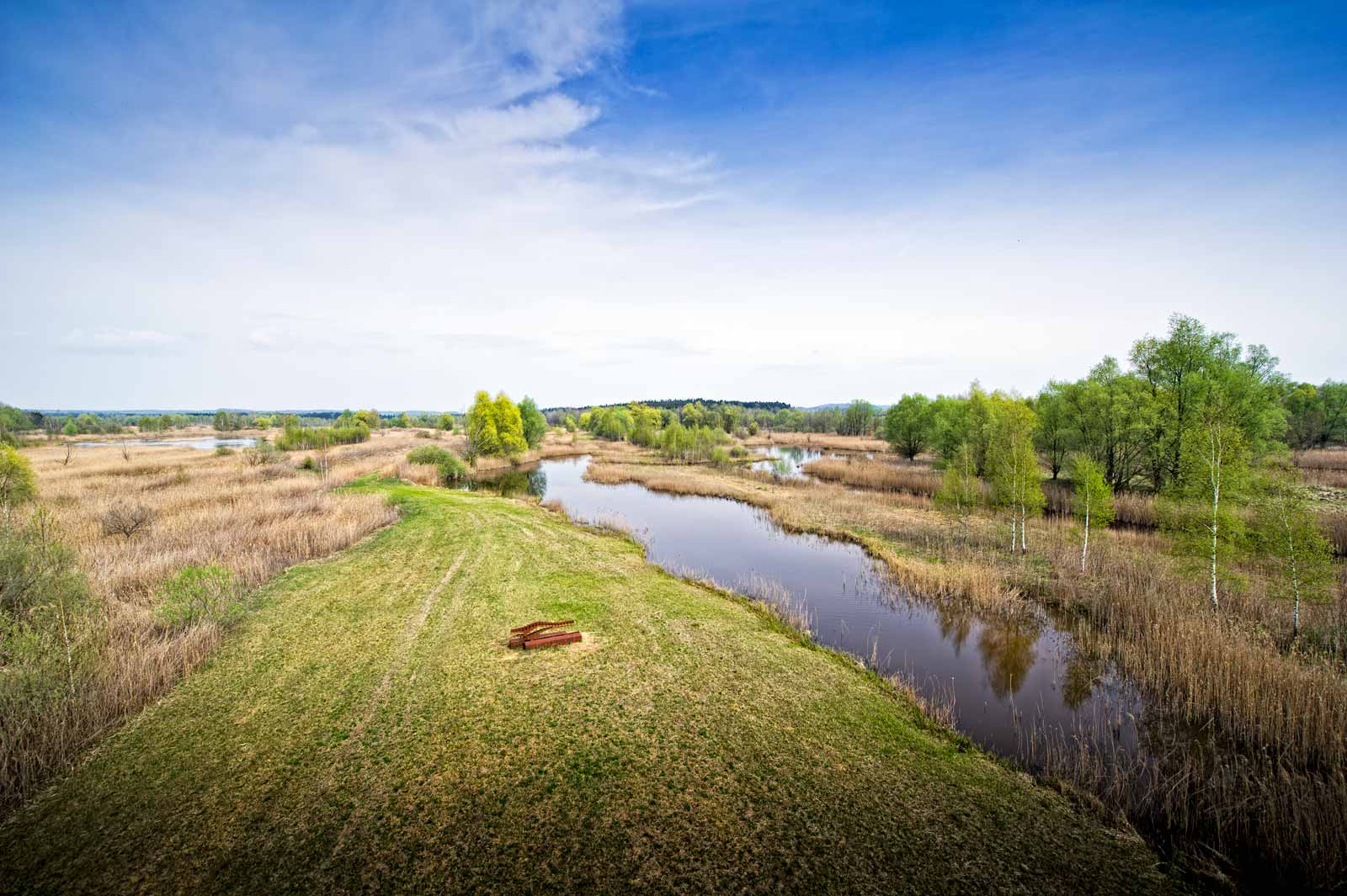 Entstehung von Torf und warum er besser im Moor bleiben sollte ...