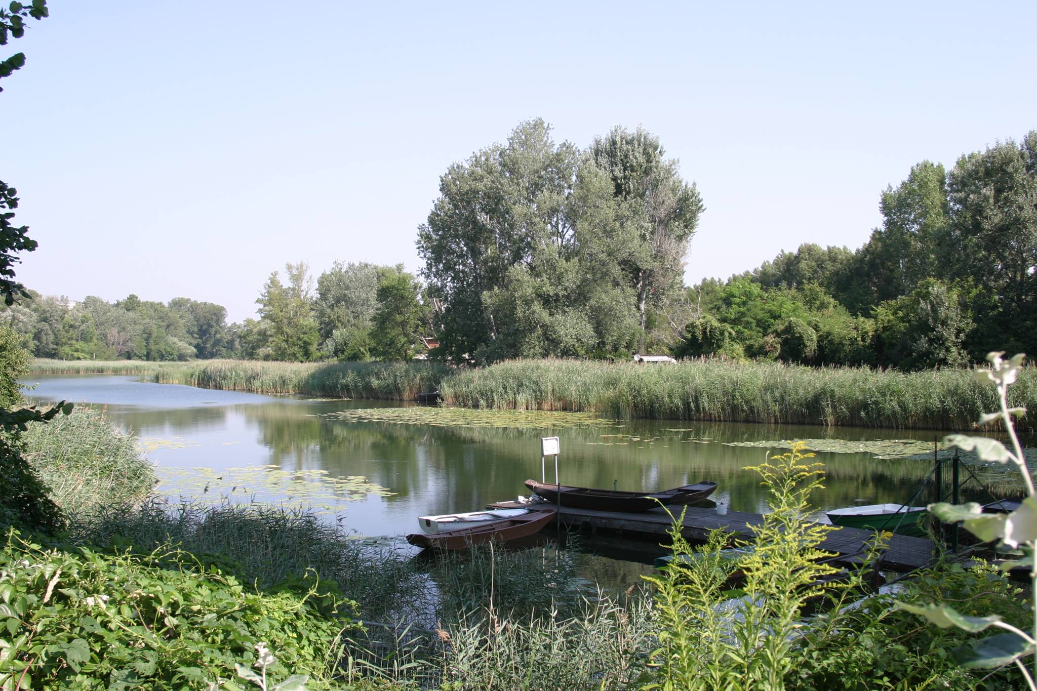 Paradies Waldgarten: Erntedank in der Lobau | Blühendes Österreich