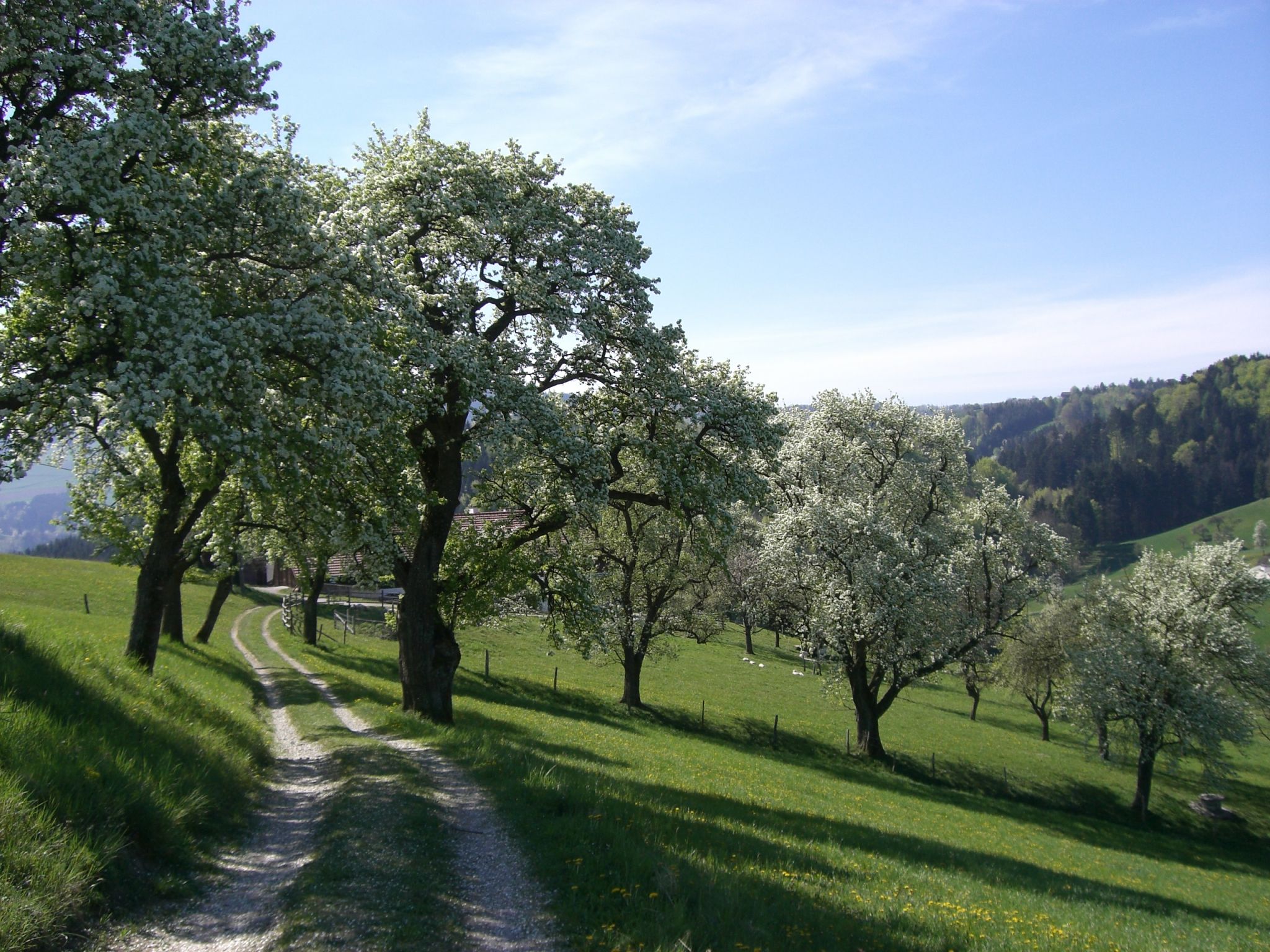 Rundwanderung von Eschenau auf den Kaiserkogel | Naturschutzbund ...