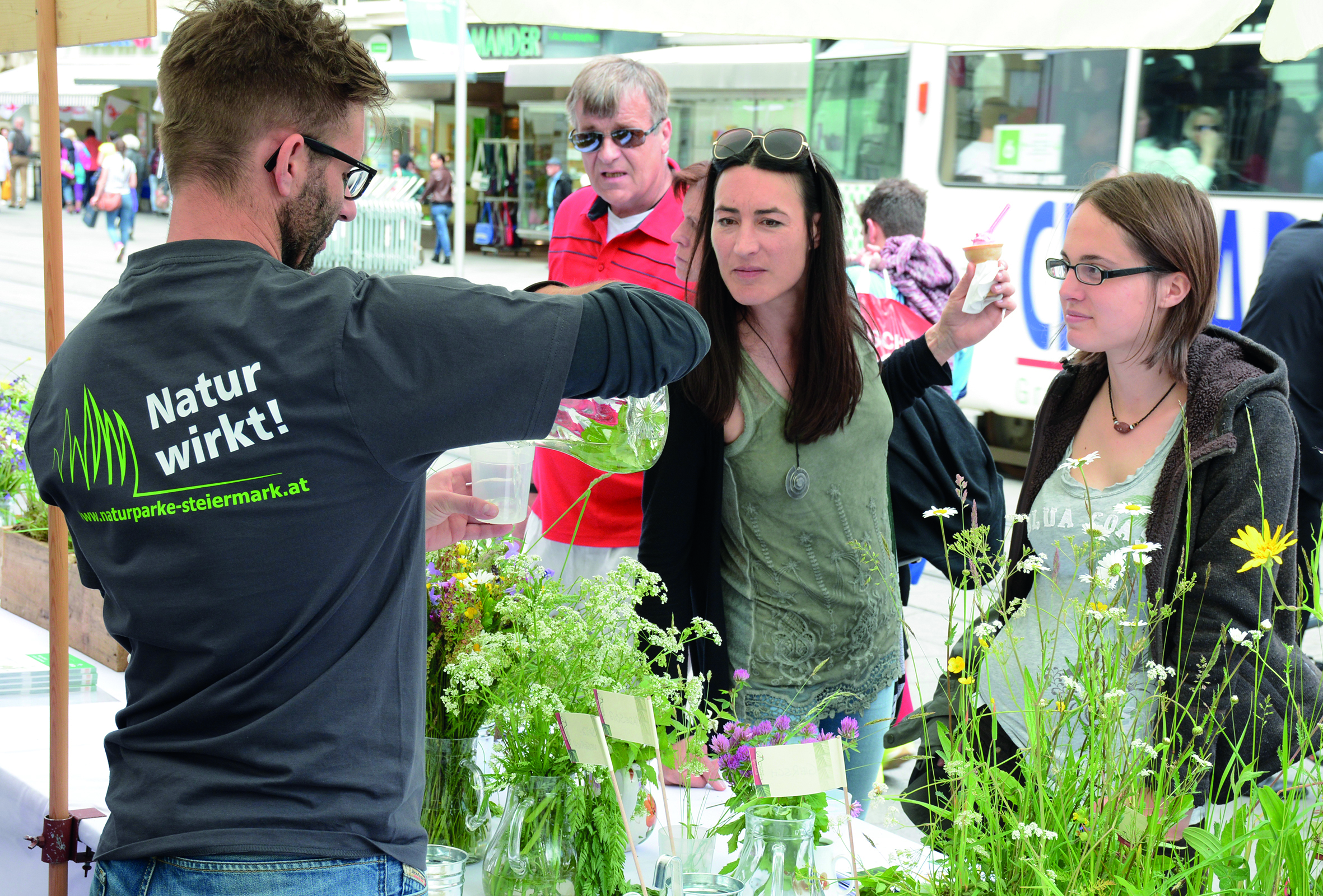 Grünzeug von der Wiese | Naturparke Steiermark | Blühendes Österreich