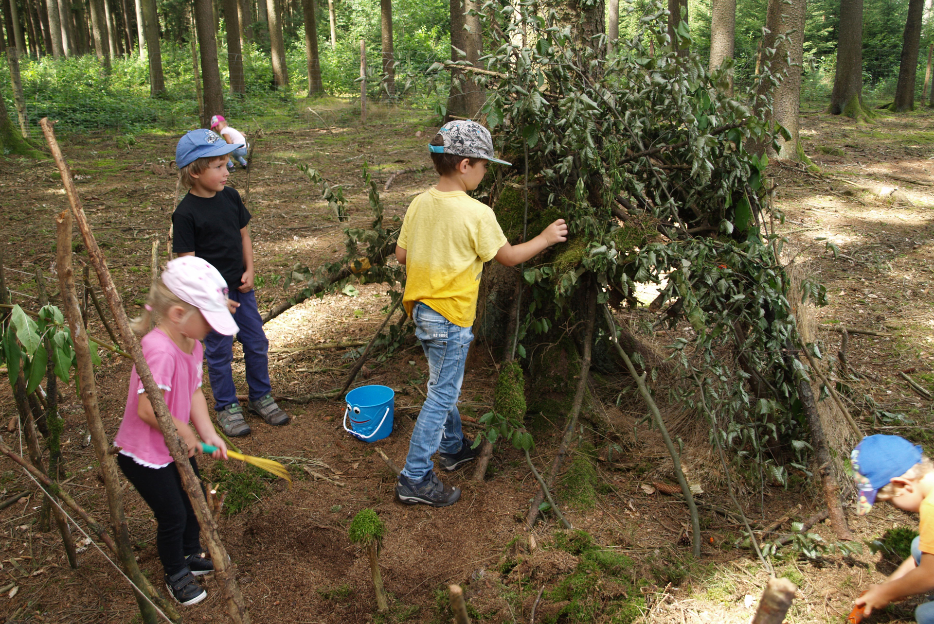 Entdecke die Superhelden in der Wunderwelt Wald | Naturpark Obst-Hügel-Land | Blühendes Österreich