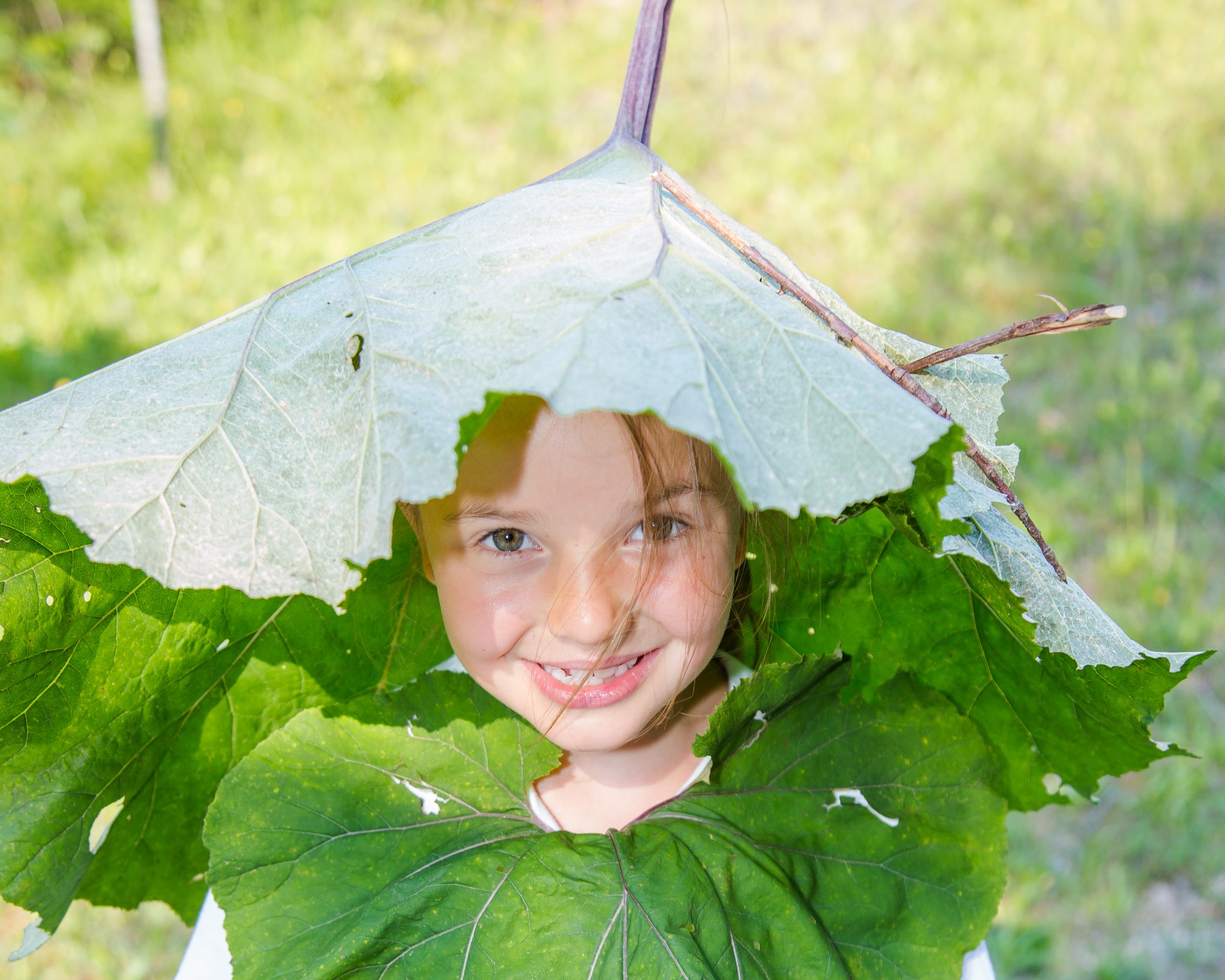 Dem Waldgeist auf der Spur | Naturpark Mürzer Oberland | Blühendes ...