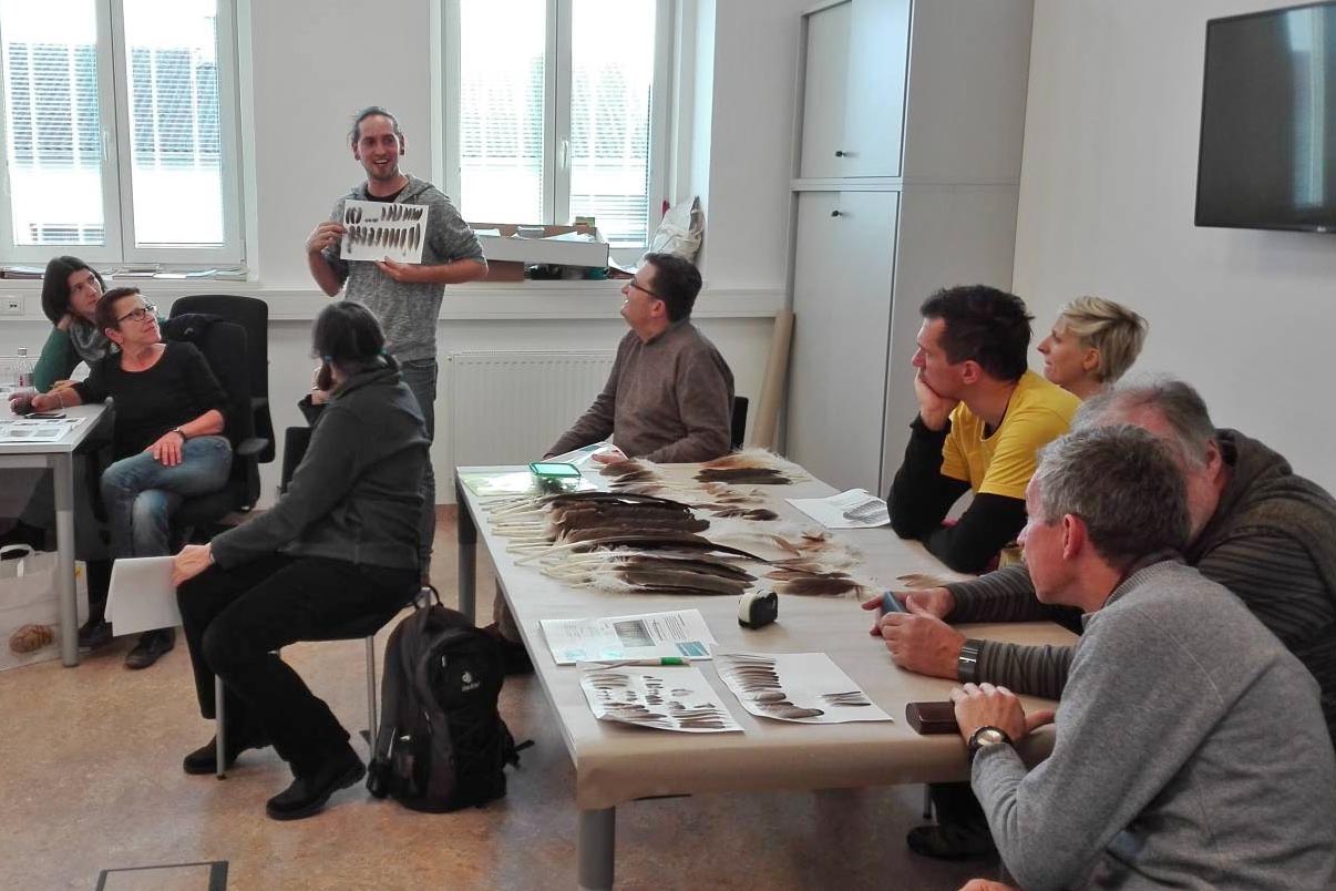 Kleider machen Leute - Federn machen Vögel! Seminar zur Feder- und ...