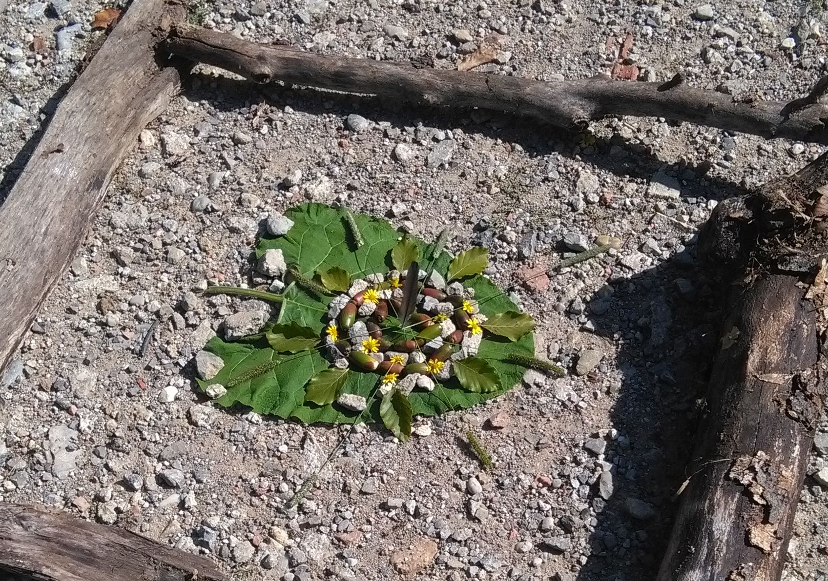 LandArt - Kunst in der Natur | Biosphärenpark Wienerwald | Blühendes ...