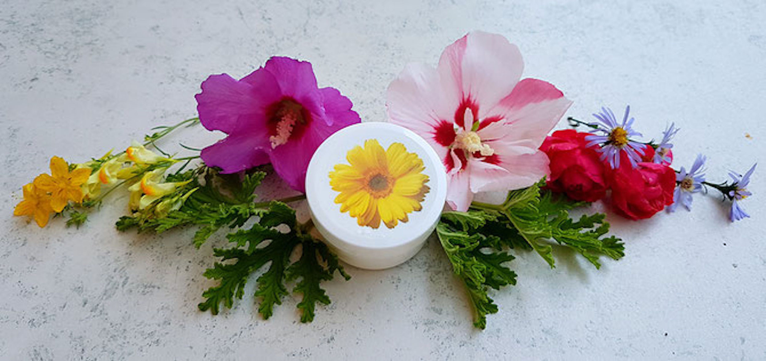 Salben & Cremen | Biosphärenpark Wienerwald | Blühendes Österreich